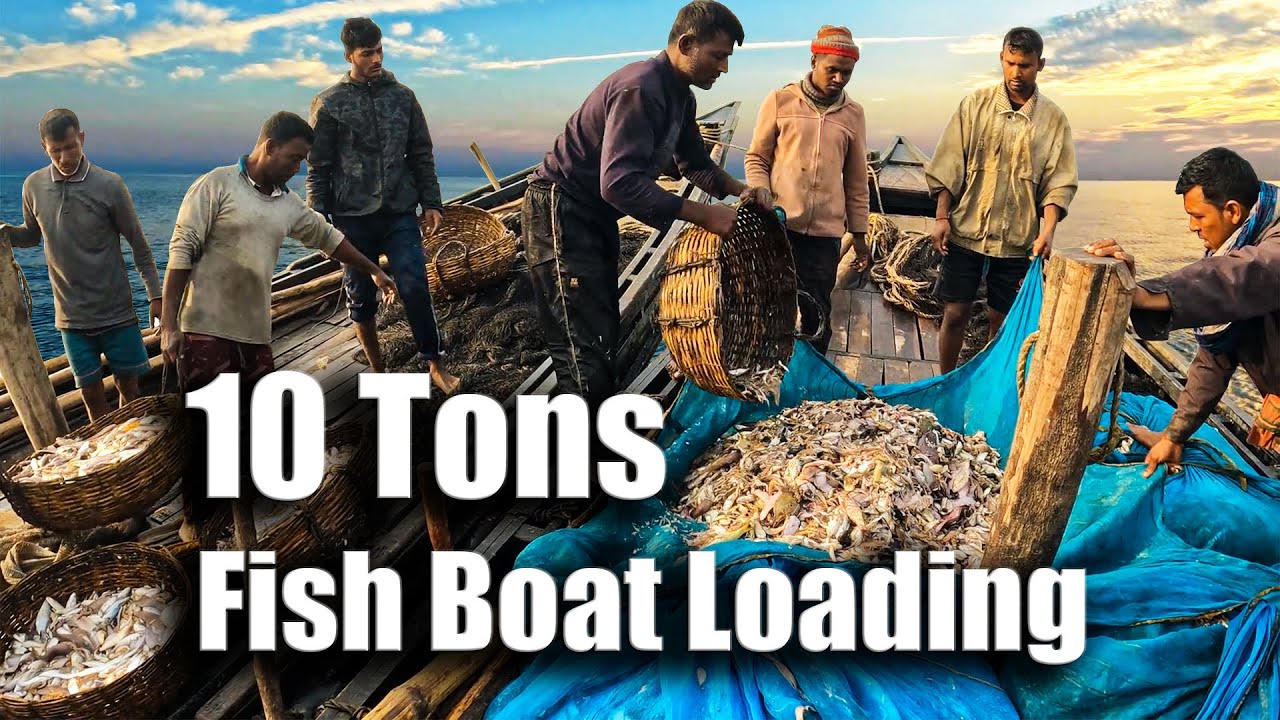 10 Tons of Fish Caught from Sea and Boat Loading - YouTube