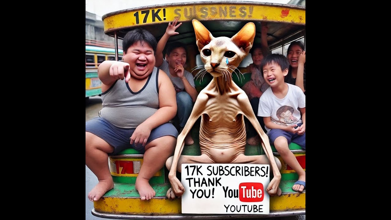 From Skinny Cat to Super Cat: A Transformation You Can’t Miss! 🐾🔥 (17K ...