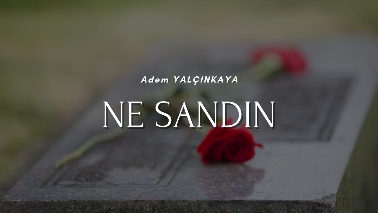 NE SANDIN - YouTube