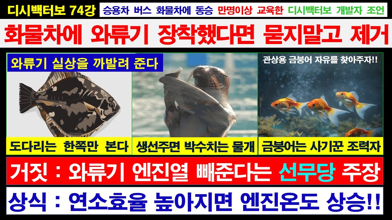 디시백터보 74강 와류기 도다리는 엉터리 주장을 하고 물개는 맞다고 박수치면 팔랑귀 금붕어는 밑밥을 먹다가 낚시질 당합니다
