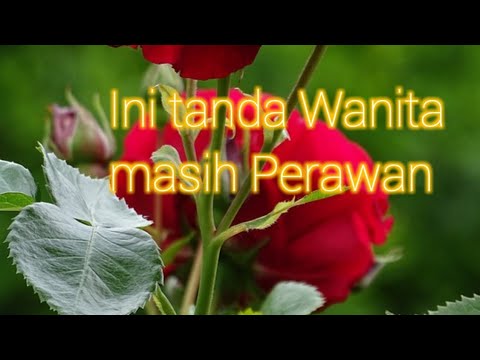 mau tau tanda wanita masih Perawan(kitabiartau1970@gmail.com)