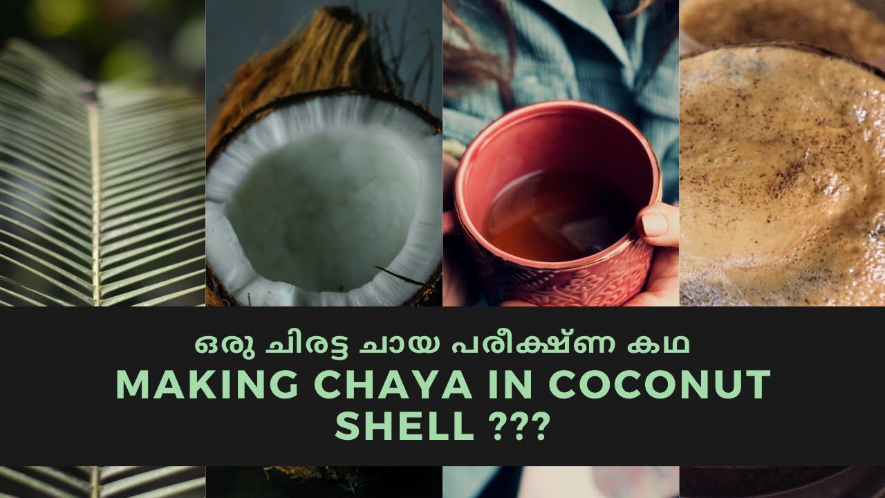 MAKING CHAYA IN COCONUT SHELL ??? || ഒരു ചിരട്ട ചായ പരീക്ഷ്ണ കഥ - YouTube