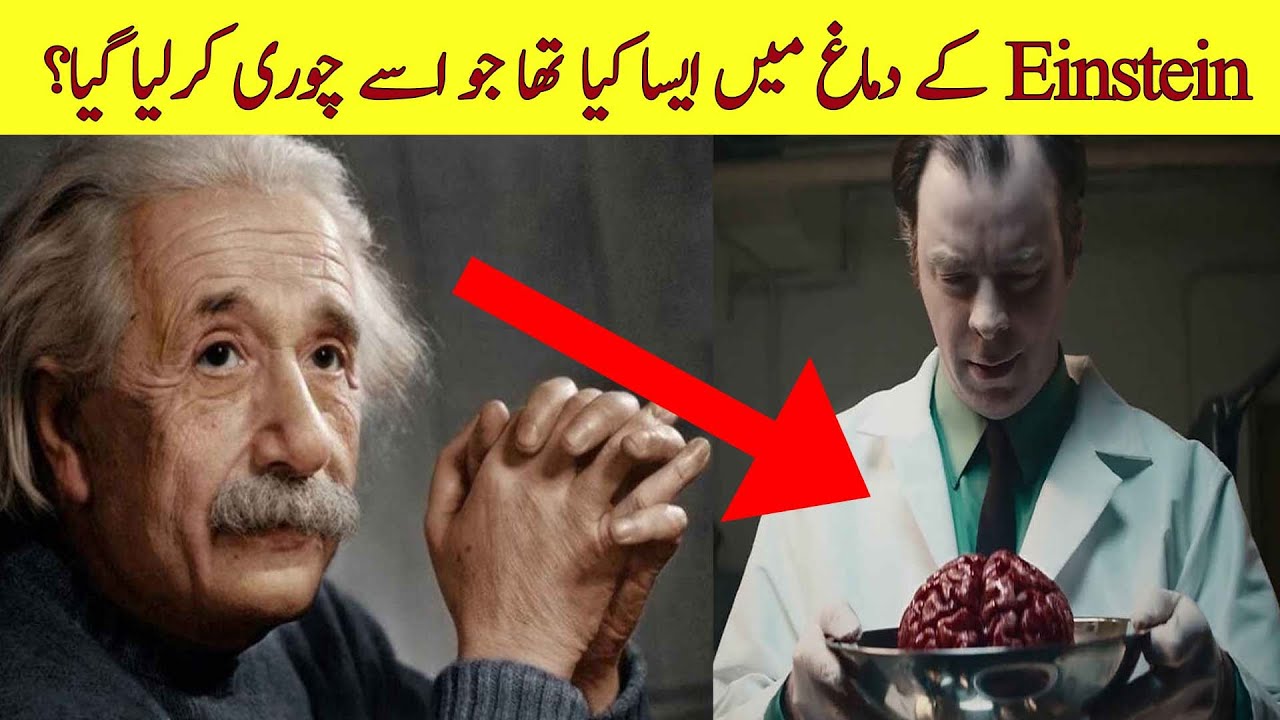 Albert Einstein Brain Story | The Secrets of Einstein's Brain | Einstein Story - YouTube