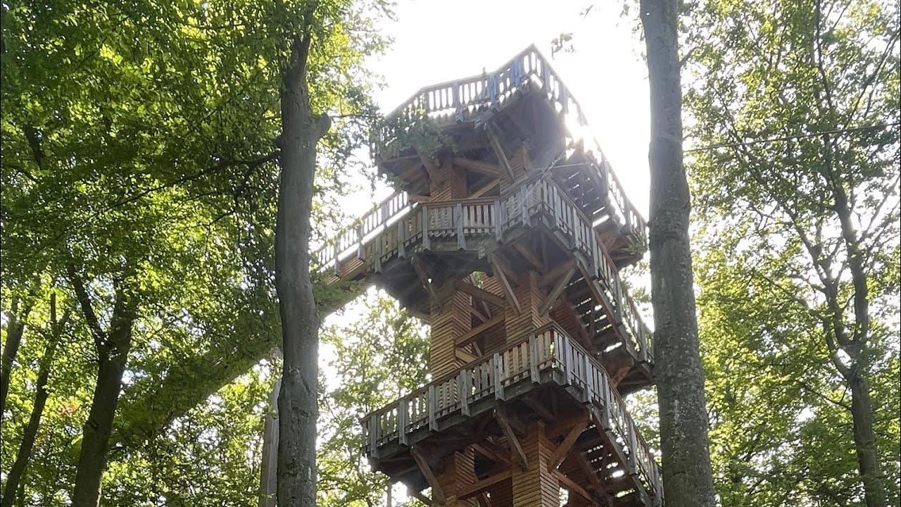 Baumwipfelweg, Bad Camberg; Adventure above the trees. - YouTube