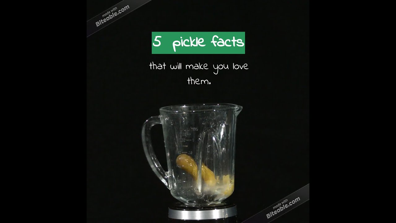 5 Pickle Facts That Will Make You Love Them YouTube 5-pickle-facts-that-will-make-you-love-them-youtube
