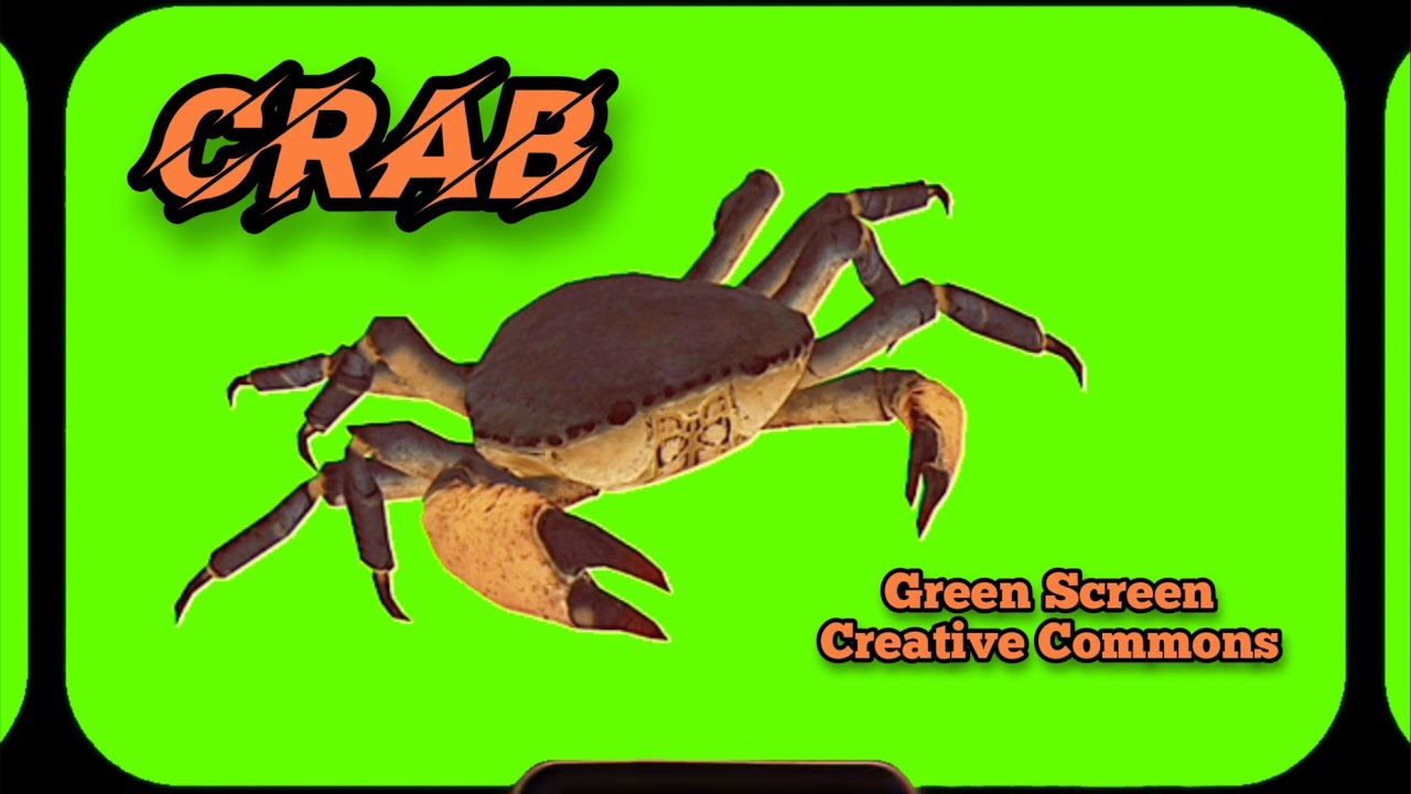 CRAB ANIMATION IS A GREEN SCREEN.VIDEO CRAB GREEN SCREEN. - YouTube