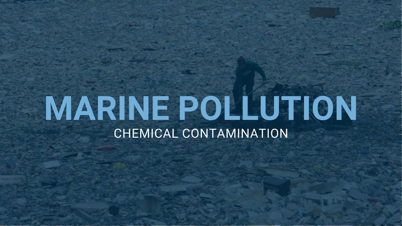 Marine Plastic Pollution in the Philippines - YouTube