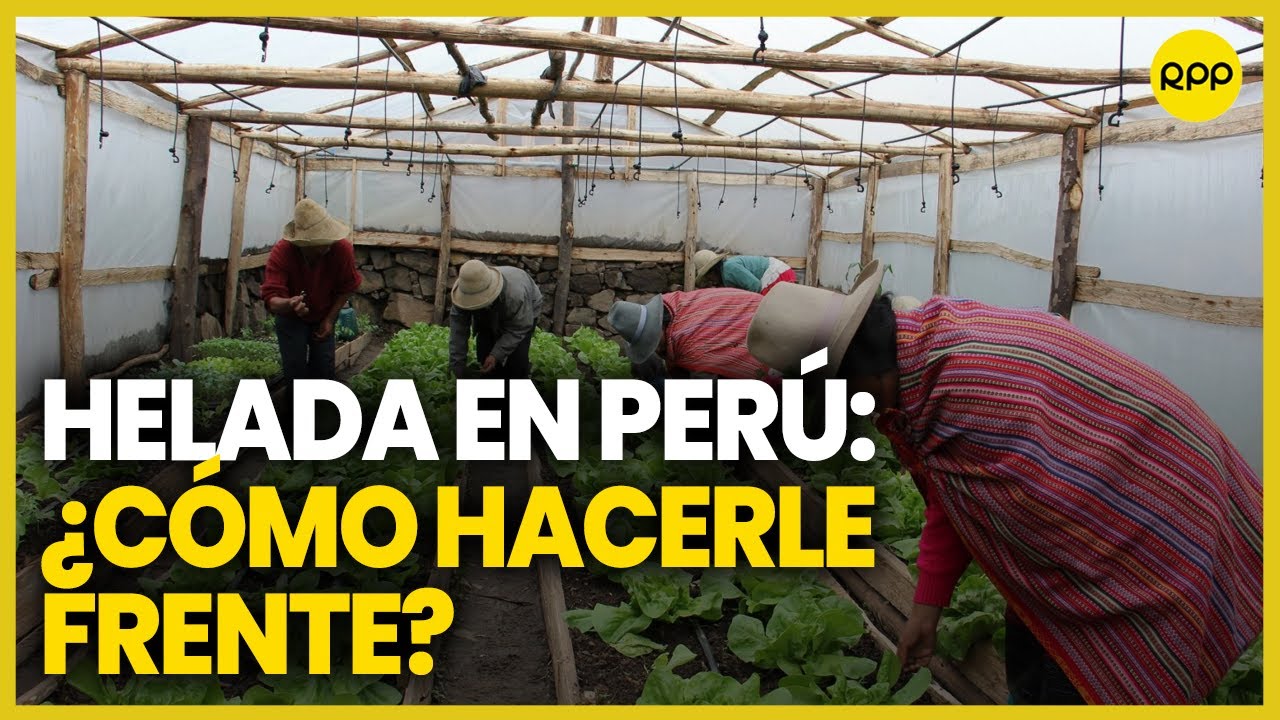 Helada en el Perú: Descubre la importancia del 'Fitotoldo' - YouTube