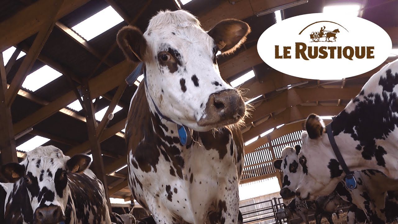 Le Rustique en Normandie - YouTube