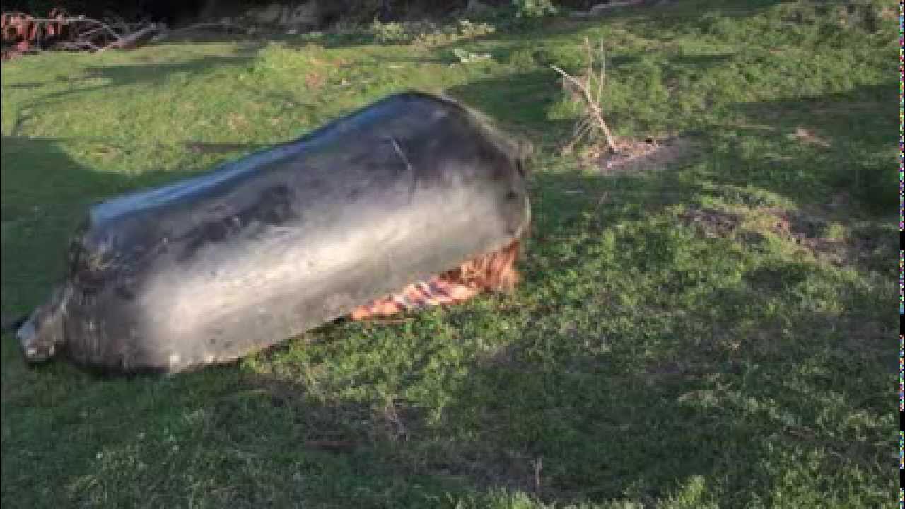 I Shouldn't Be Alive - Trapped Under a Boulder: New Zealand - YouTube