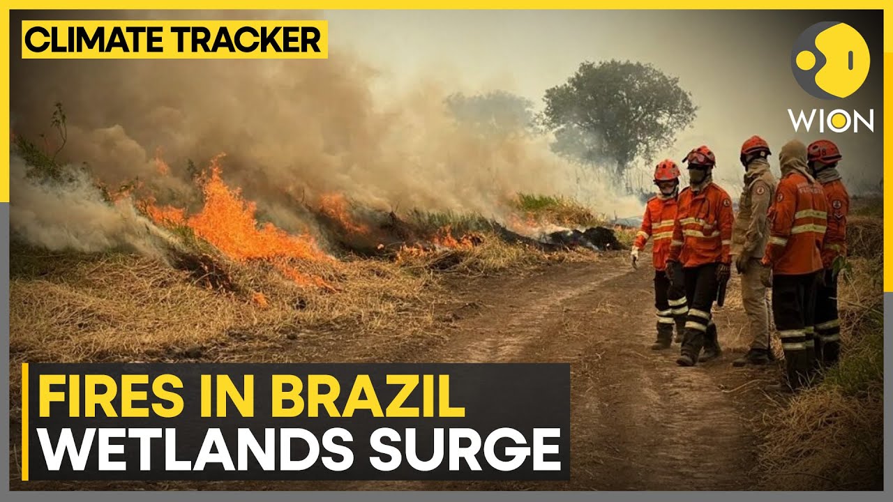 Brazil: Fires ravage world's largest tropical wetland, Brazilians ...