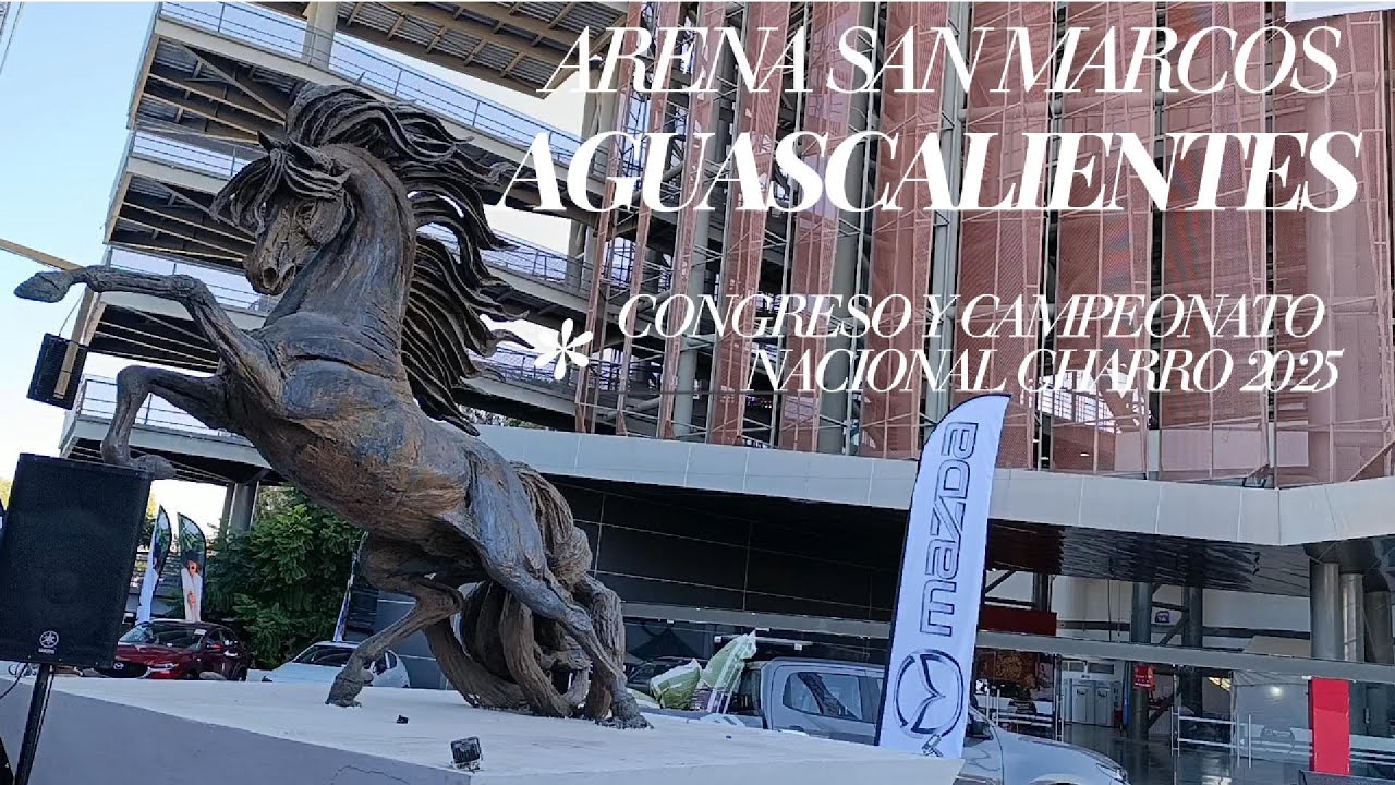 Arena San marcos 2025 - YouTube