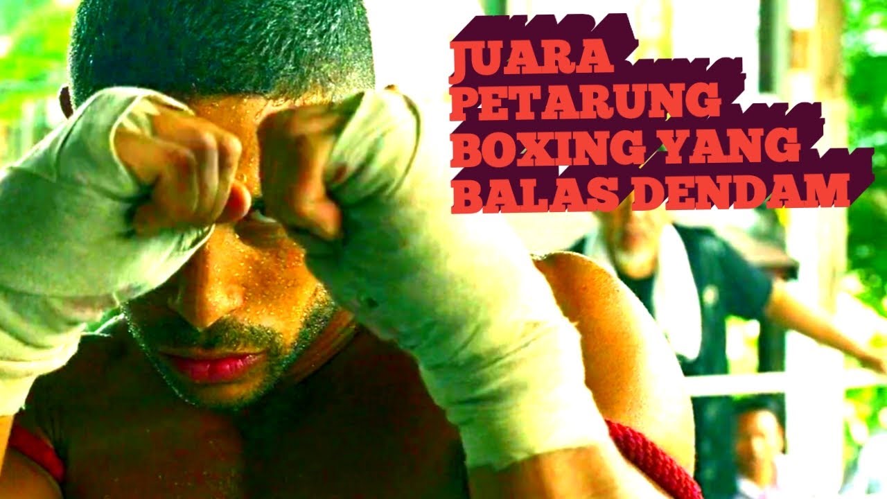 Mantan juara petarung boxing yang balas dendam, alur cerita film ...