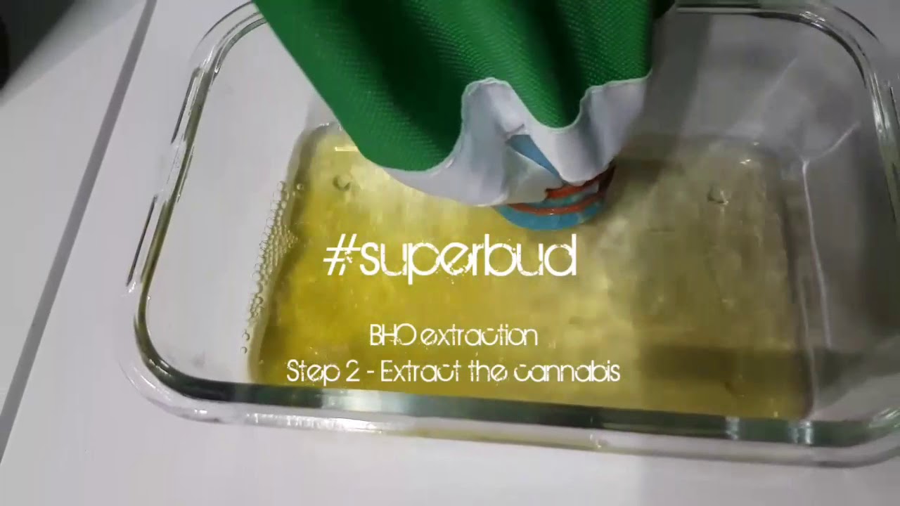 BHO Extraction, Step 2 - Extract the cannabis - YouTube