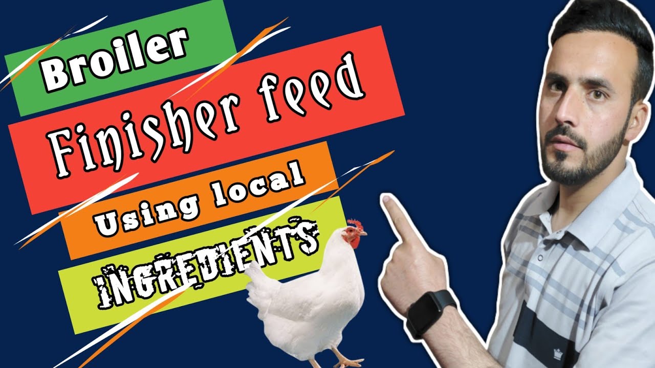 broiler-finisher-feed-formulation-how-to-make-broiler-finisher-feed