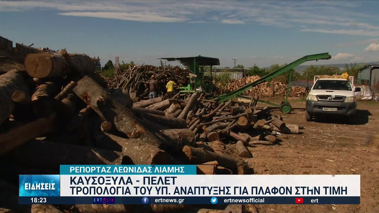 Πλαφόν στο περιθώριο κέρδους για καυσόξυλα και πέλετ | 29/09/2022 | ΕΡΤ ...