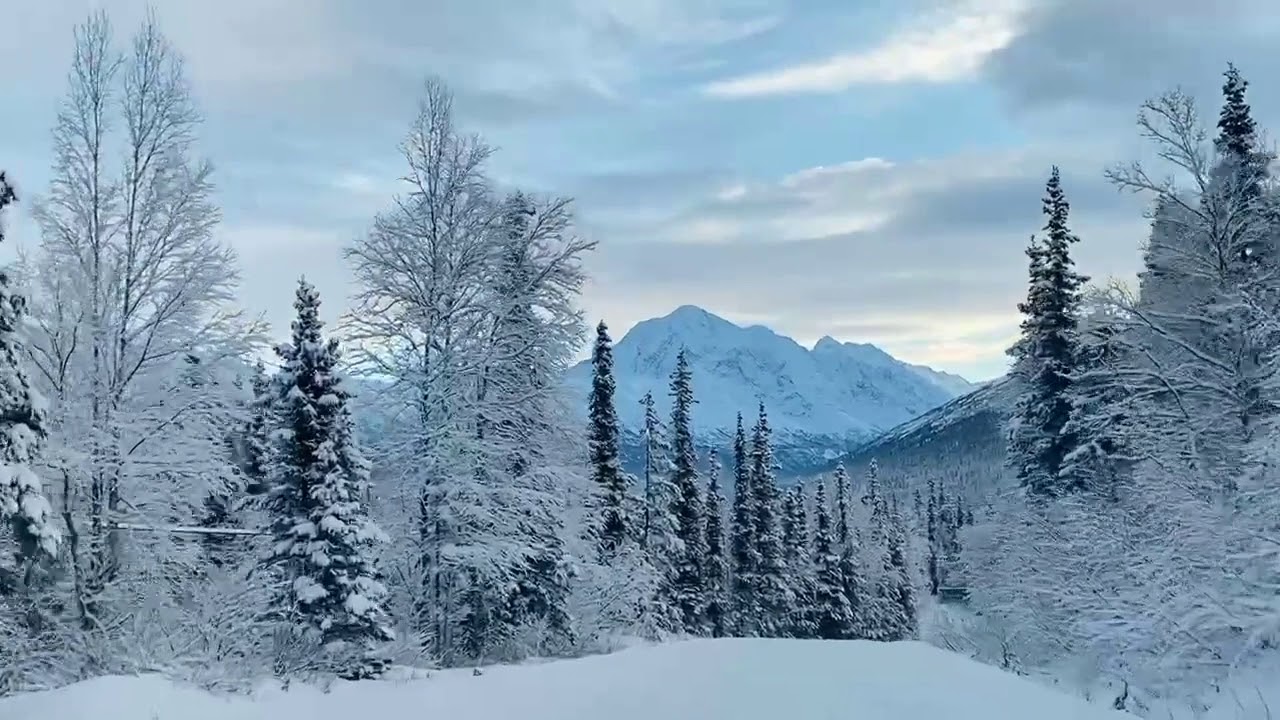 Alaskan Landscape Covered in Snow on Winter Solstice After Daily ...