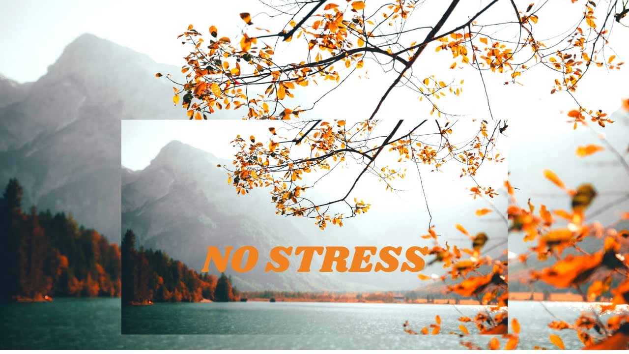 THE BEST Music to lower stress 4K - YouTube