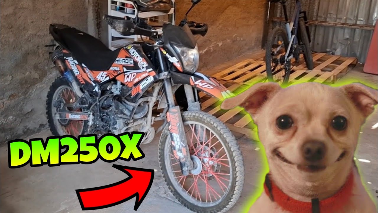Les presento mi italika dm 250x/200 modificada - YouTube