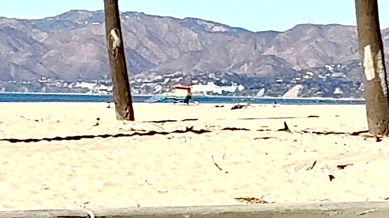 PALISADES FIRE BURNT MOUNTAINS VIEW FROM VENICE BEACH LOS ANGELES - YouTube