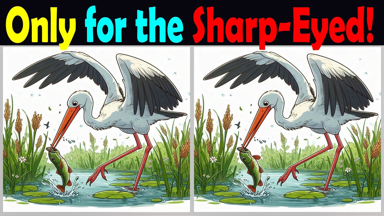 Spot The Difference : Only for the Sharp Eyed!! 🎬237 [Find 3 Differences] - YouTube