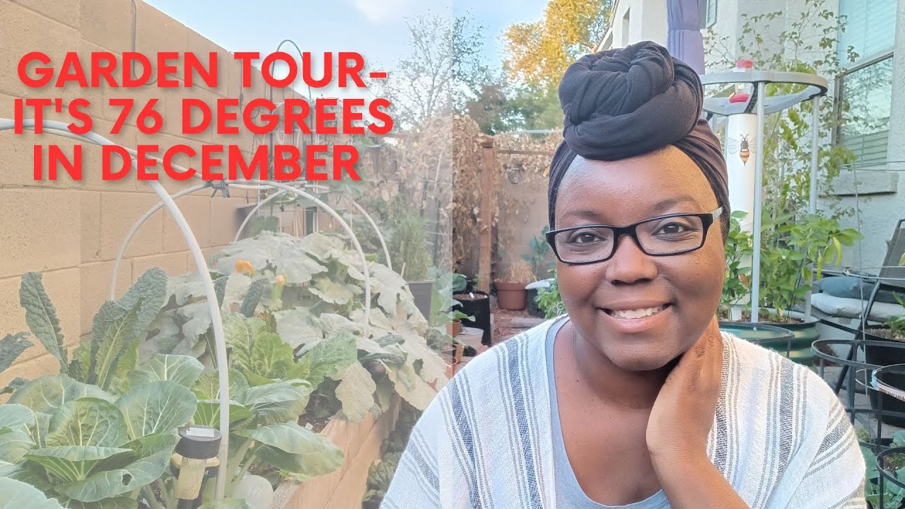 Winter Garden Tour - It's 76 Degrees In December - YouTube