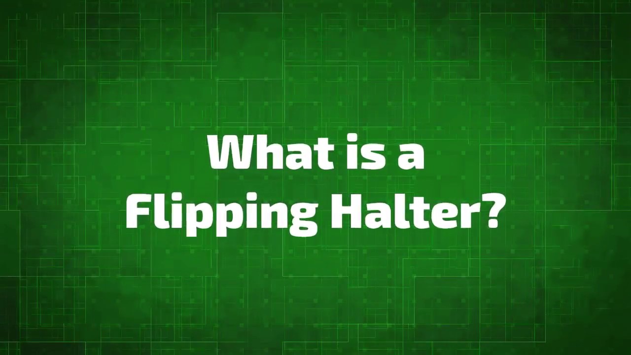 What Is A Flipping Halter? - YouTube