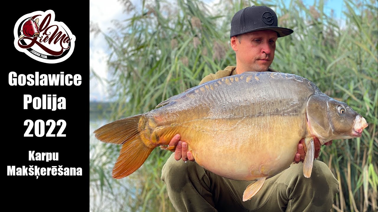 Goslawice, Polija. Karpu makšķerēšana. Carp fishing in Poland ...