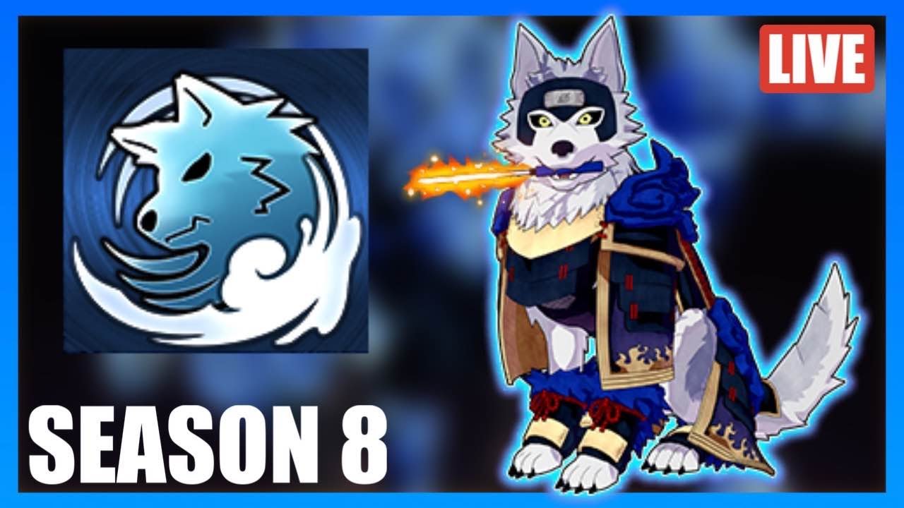 Where My Inuzuka's At?!! Ninja Hounds in Shinobi Striker - YouTube