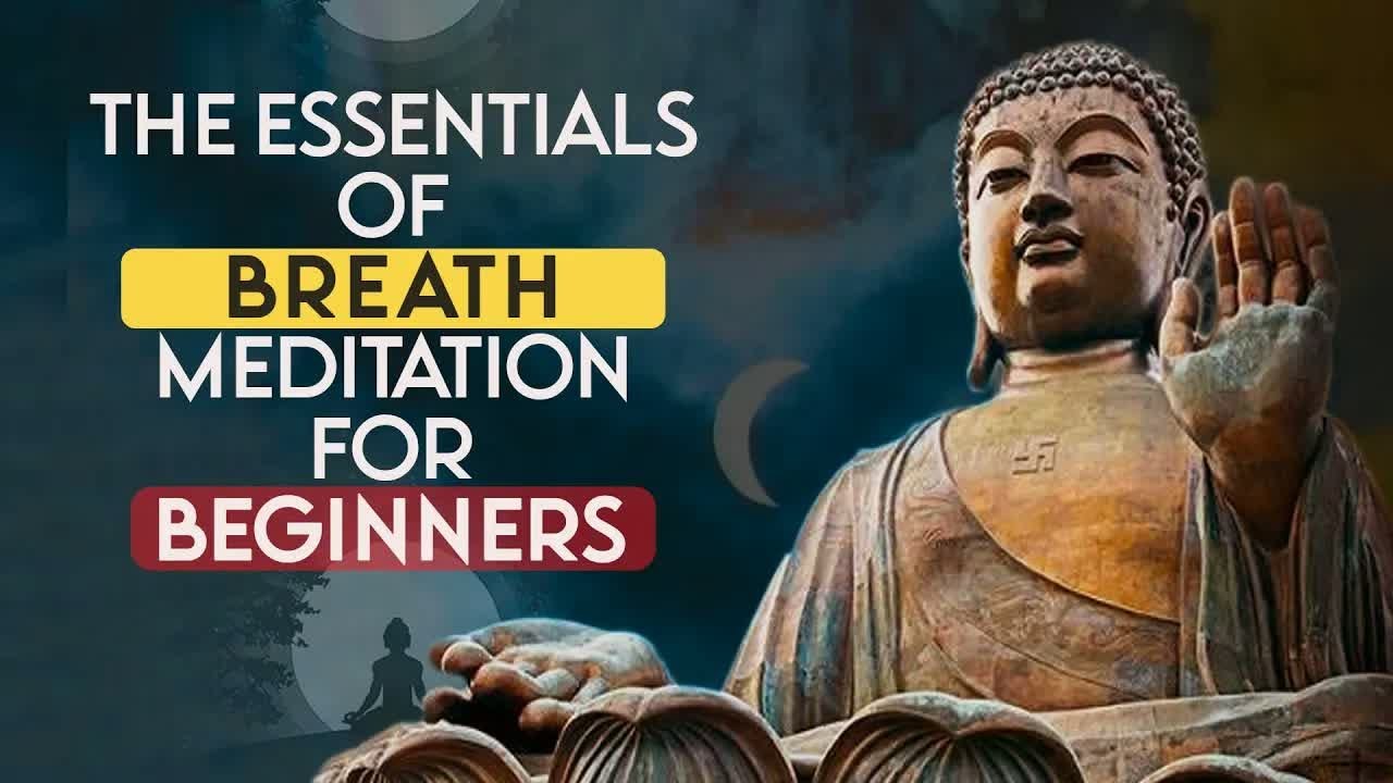 Buddha's Way： The Essentials of Breath Meditation for Beginners - YouTube