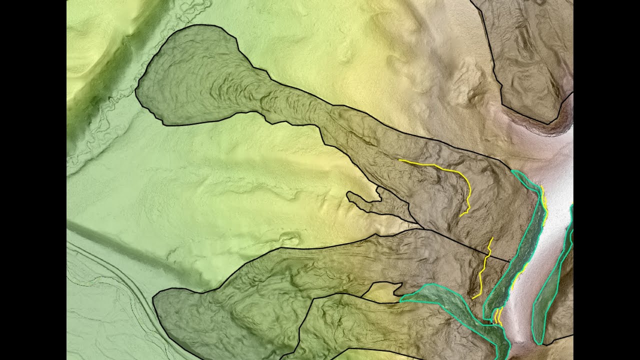 A union of LiDAR inventories and InSAR: Distribution and activity of ...