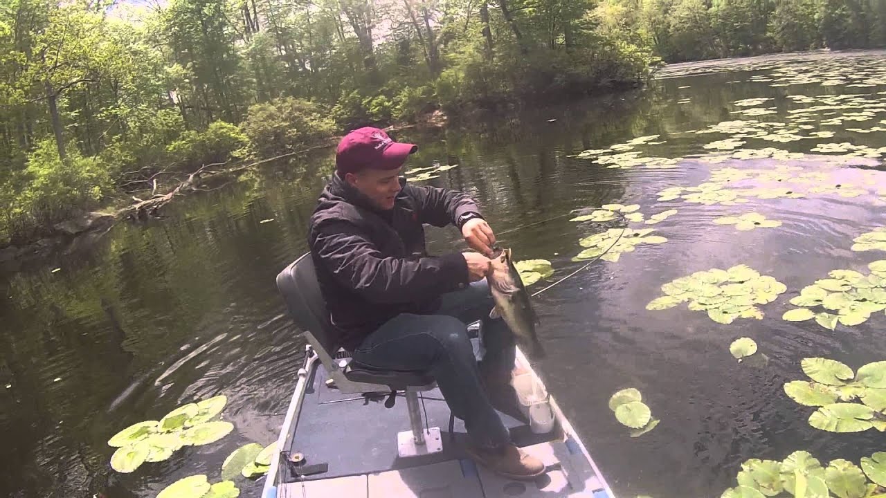 Fishin' The Lillies - Feat. Patrick "Peej" Heeter - YouTube