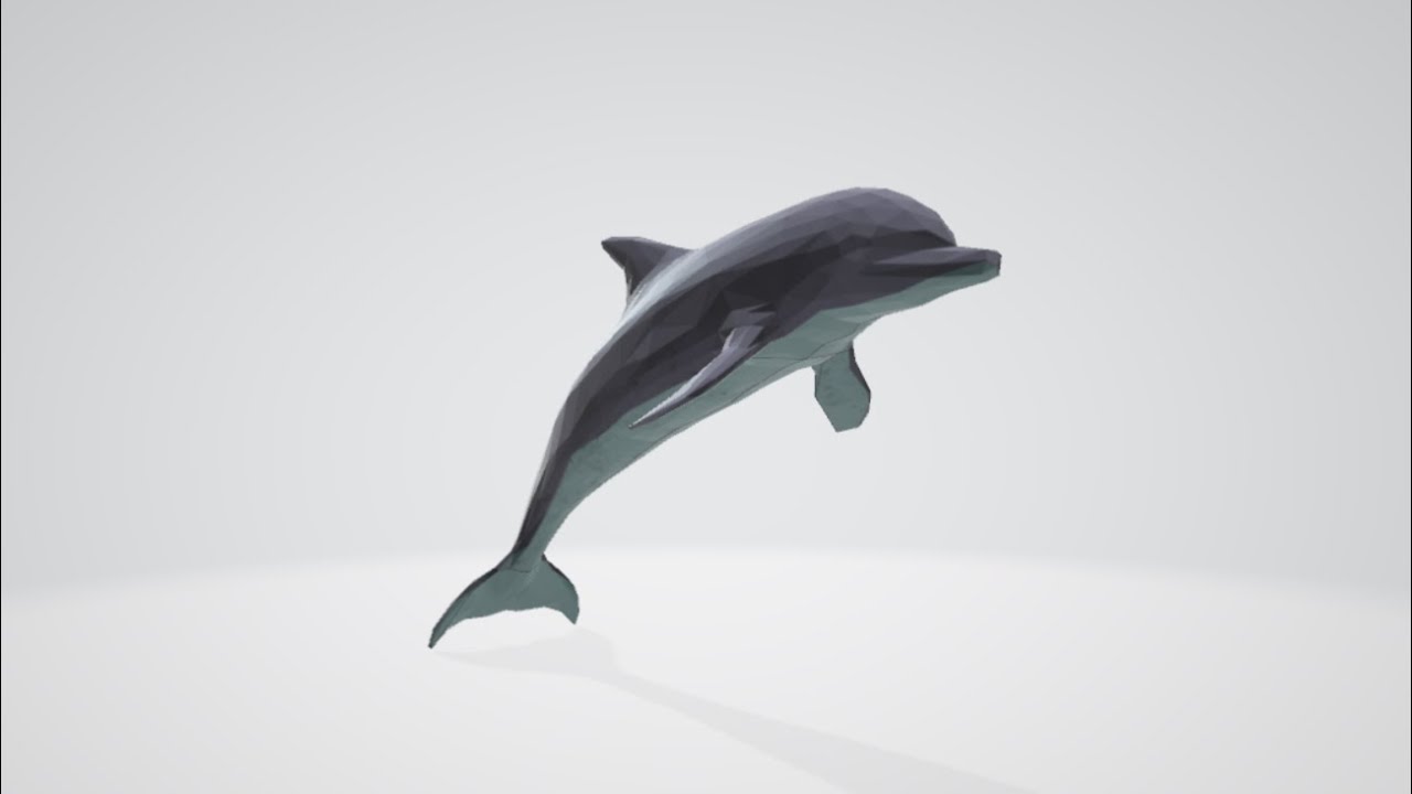 Low Poly Dolphin 3D Model - YouTube