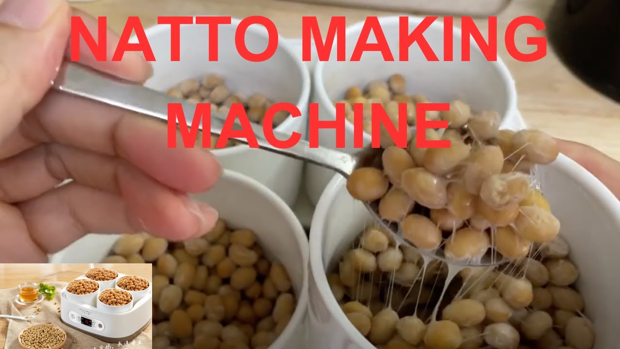 Natto Making Machine Demo ( How To Make Natto At Home ) DIY Natto ...