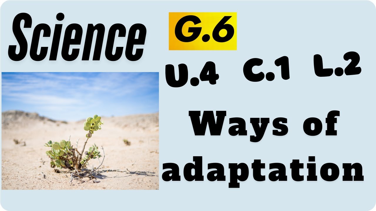 Science | Grade 6 | Ways of adaptation | Unit 4 Concept 1 Lesson 2 ...