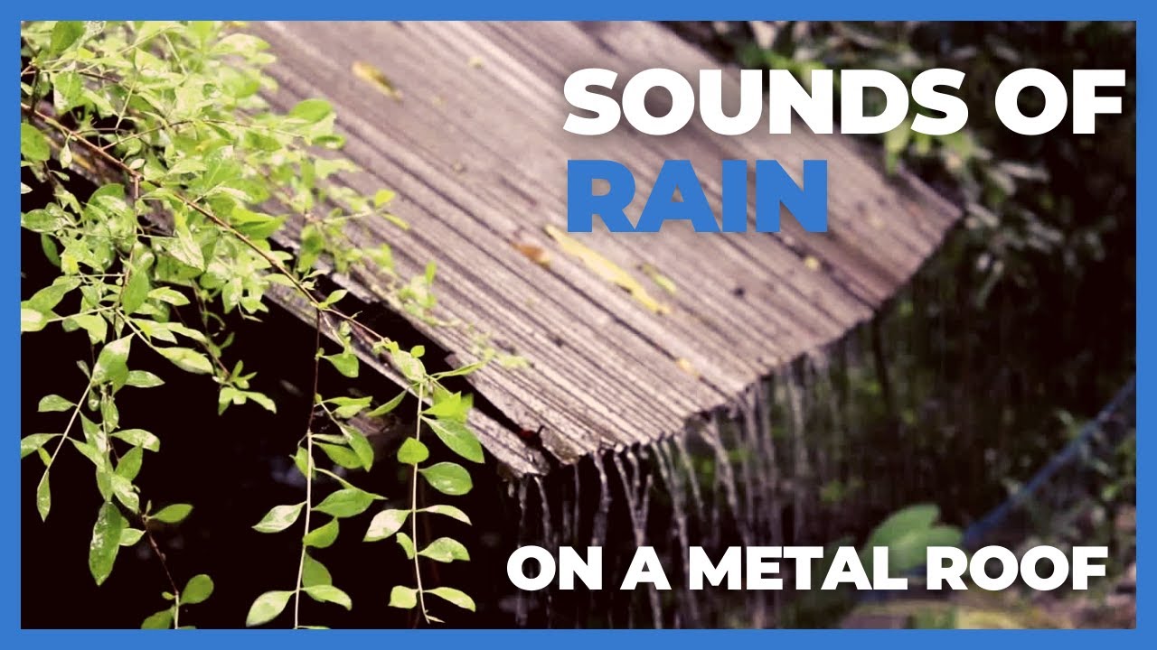 Relaxing Rain Sounds on a Metal Roof - YouTube