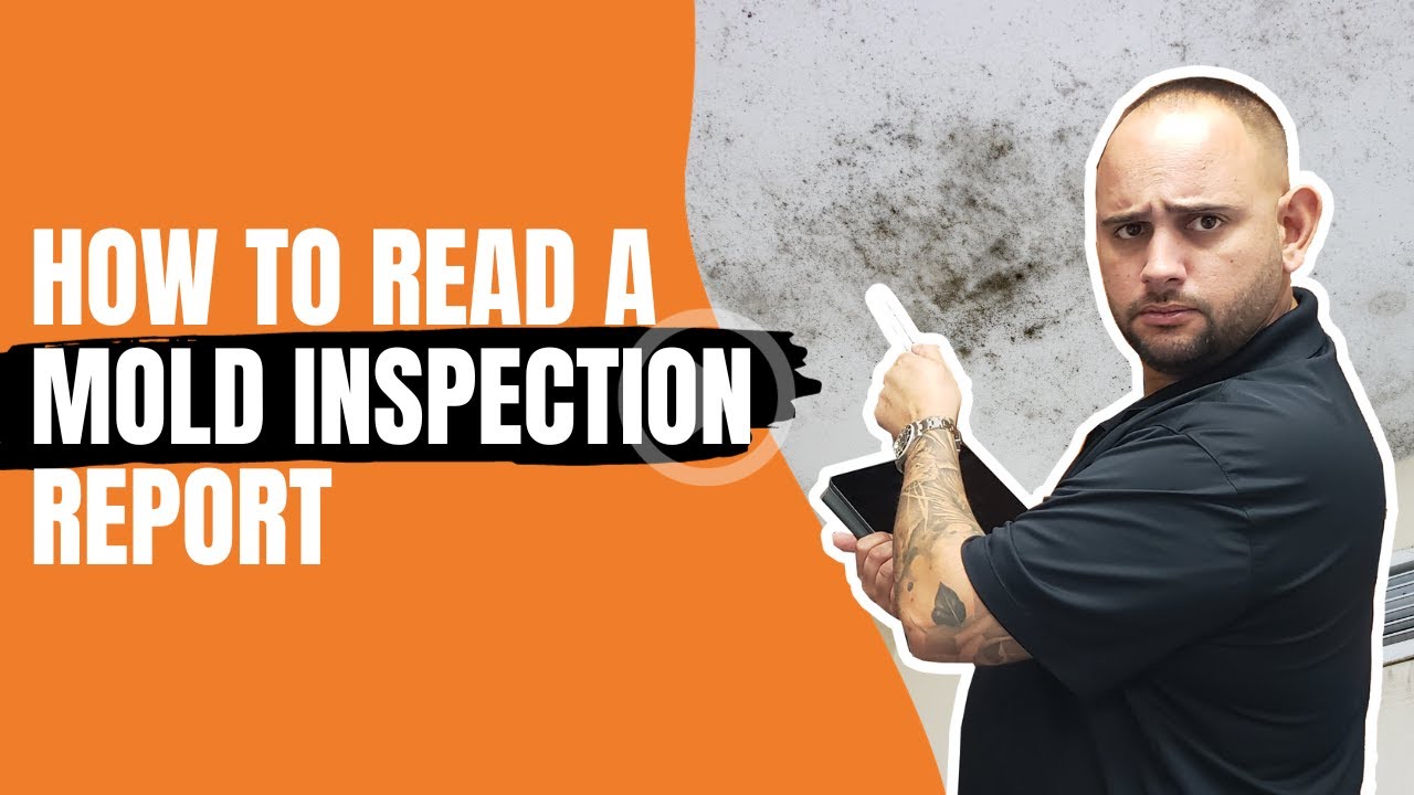 How To Read A Mold Inspection Report - YouTube