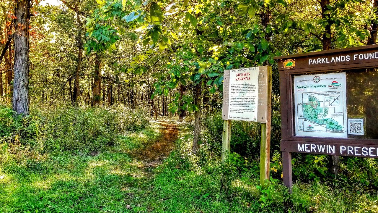 Back to Merwin Nature Preserve Part2 Parklands Foundation - YouTube
