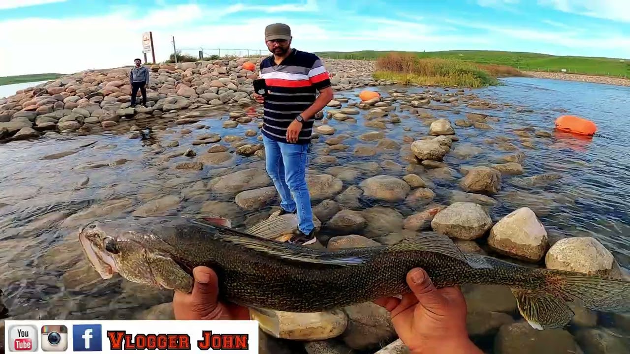 Traverse reservoir is infested with pike and walleyes but still no ...