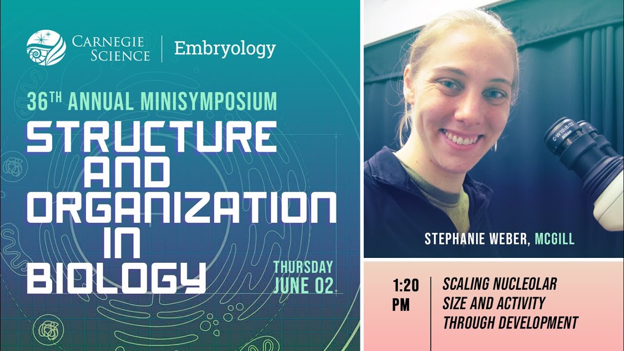 Dr. Stephanie Weber: Scaling Nucleolar Size & Activity Through ...