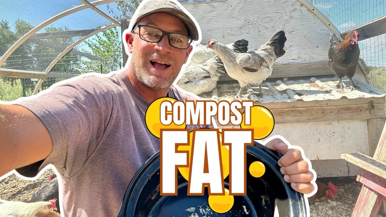 🐓 I Dumped a Crockpot of Grease in My Chicken Run - YouTube