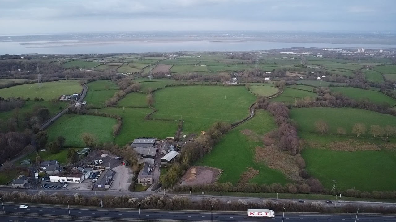 Naughty northen monkey explorer Live Stream - YouTube