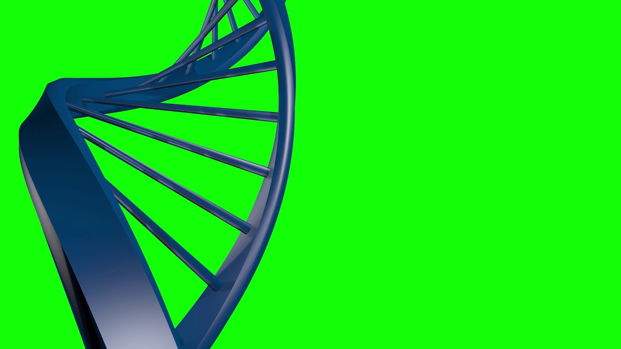 DNA strip structure molecule test model - 4K 60fps green screen ...