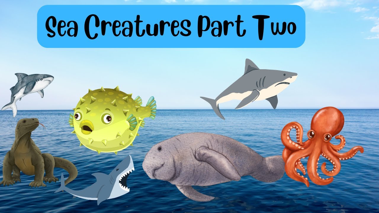 Sea Creature part two New - YouTube