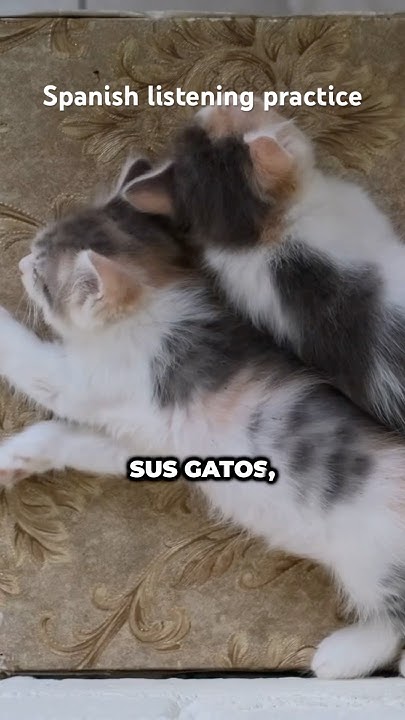 Spanish listening practice. Comprehensible input for beginners - YouTube