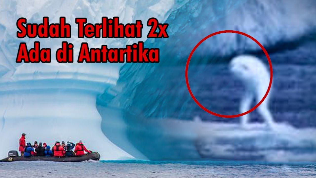BOCOR! Makhluk 30 Meter Hasil Laboratorium ANTARTIKA - YouTube
