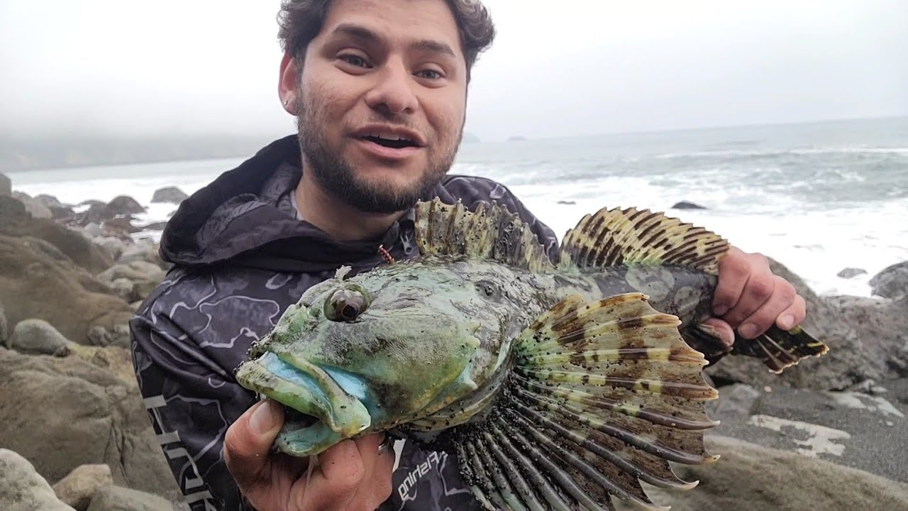 UNBELIEVABLE CATCH From SHORE Beautiful Blue Meet Fish! PERSONAL BEST ...