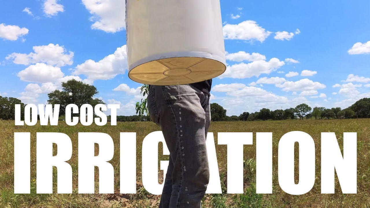 Bucket dripping irrigation system - YouTube