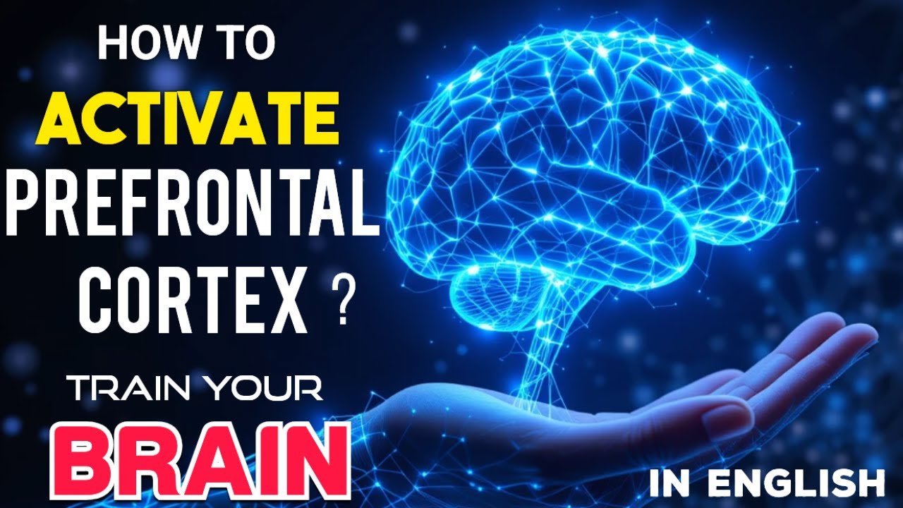 PREFRONTAL CORTEX ACTIVATION | Prefrontal cortex nd Amygdala ...