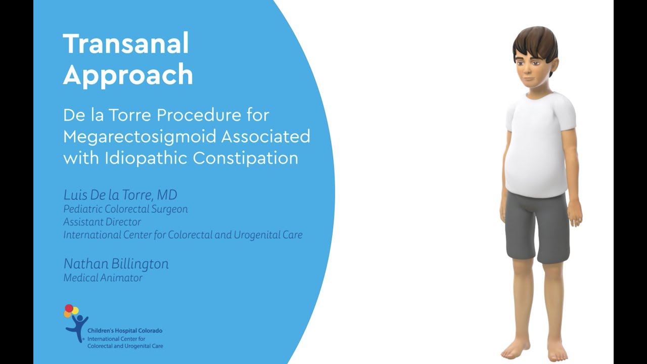 Constipation. Transanal rectosigmoidectomy for megarectum in patients ...